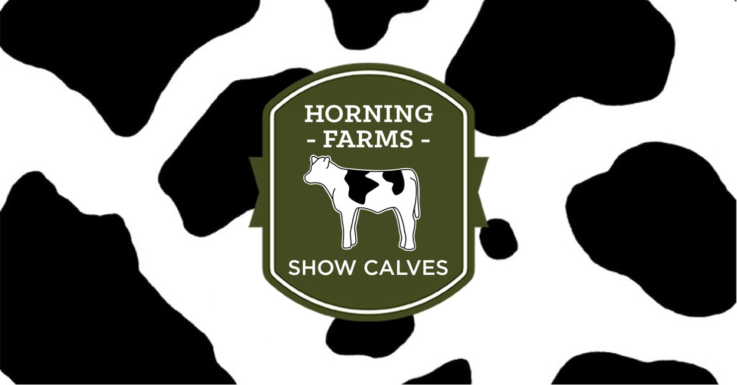 Horning Farms Online Feeder Calf Auction Catalog – Horning's Farm Shop